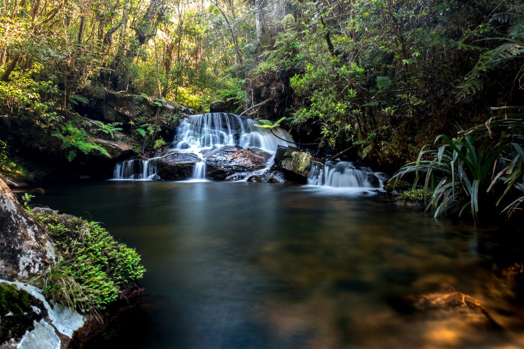 Mantadia national park | Made of Wanderlust